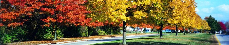 The Forest Ridge Association – Welcome Home to the Forest Ridge ...